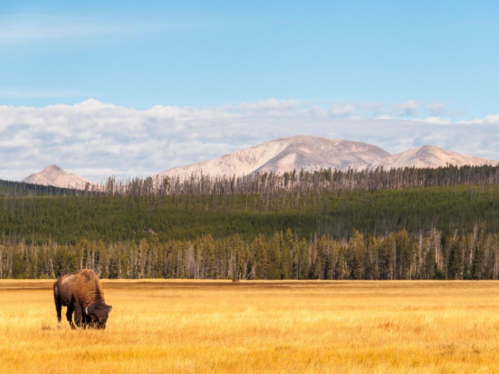 September In the USA: 10 Amazing Locations Suggested By Experts ...