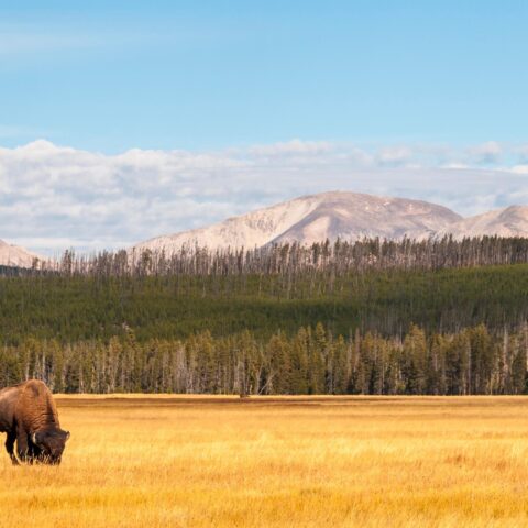 September In the USA: 10 Amazing Locations Suggested By Experts ...