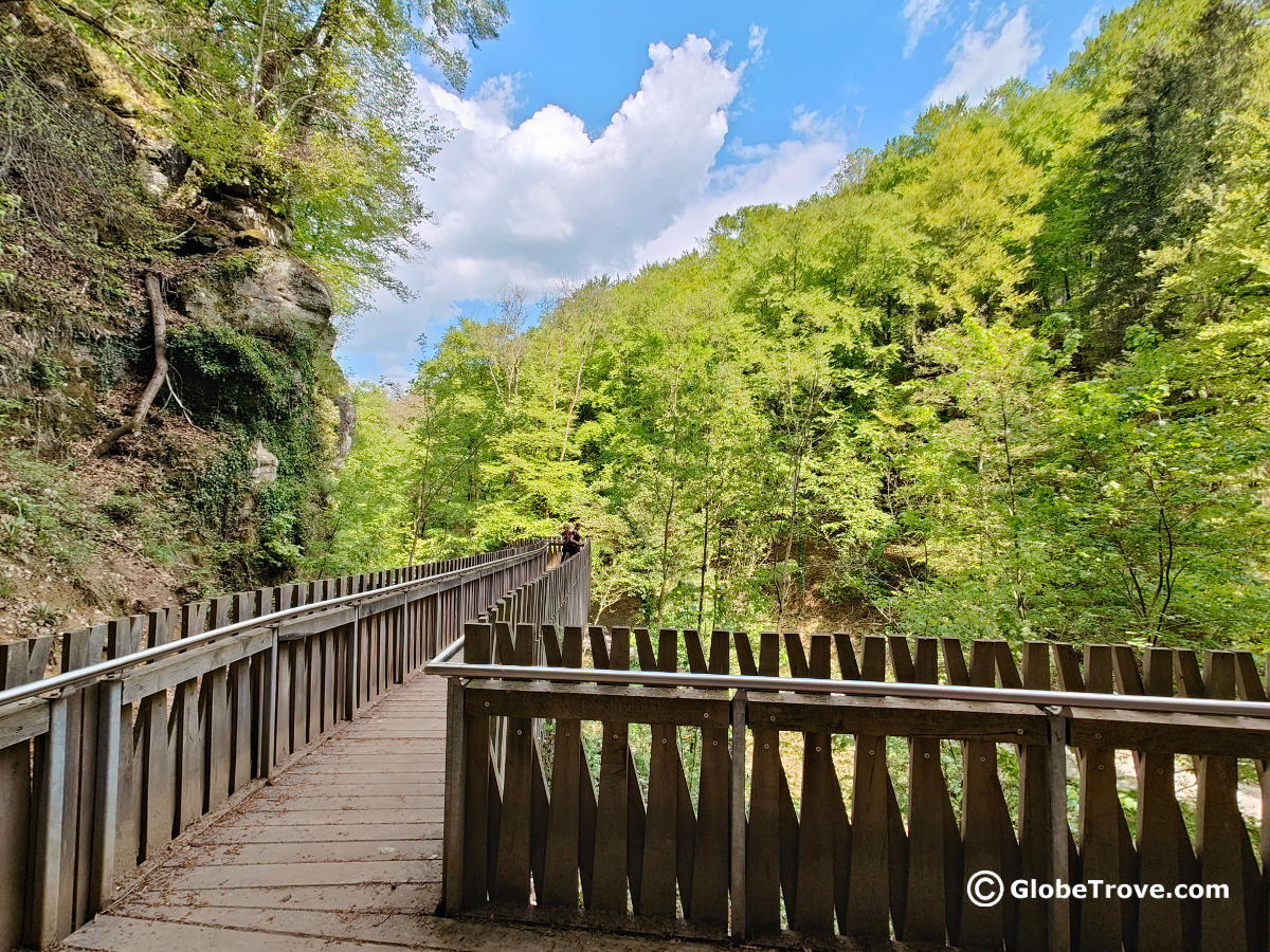 Mullerthal Trail With Toddlers (The Super Easy Version) - GlobeTrove